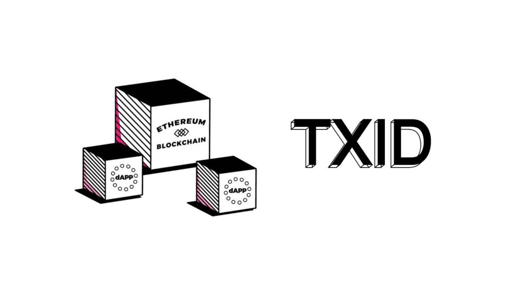 آموزش پیگیری تراکنش ارز دیجیتال، TXID چیست؟ - وبلاگ او ام پی فینکس